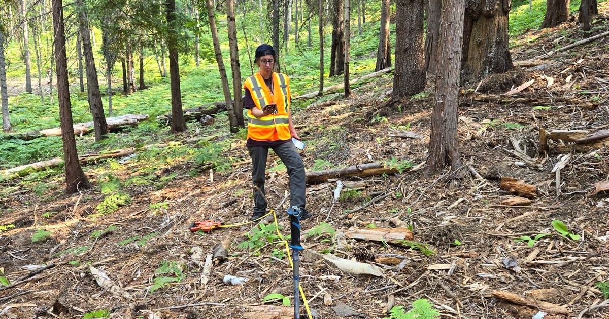 Understanding Fuel Treatments to Mitigate Wildfire Risk | Selkirk College